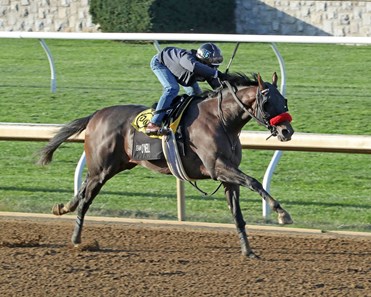Hot Rod Charlie - Horse Profile - BloodHorse