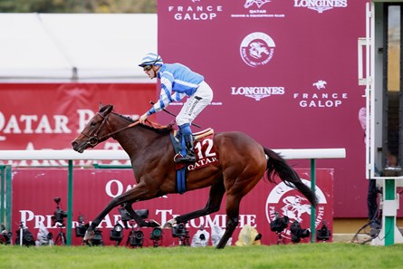 Blue Rose Cen (IRE) - Horse Profile - BloodHorse