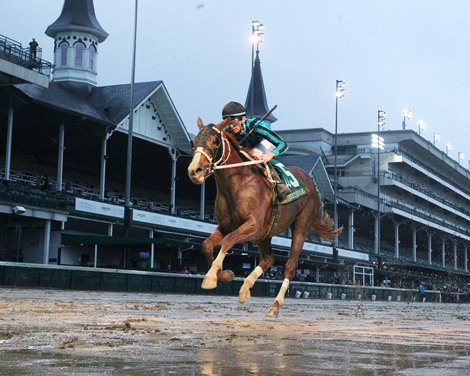 The Dirt on Kentucky Derby Mudders - BloodHorse