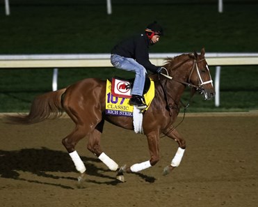 Rich Strike - Horse Profile - BloodHorse