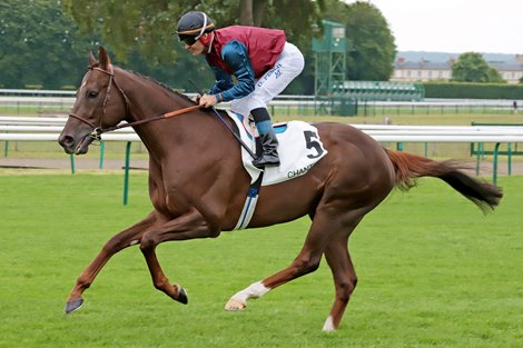 G1 Winner Mare Australis to Haras de la Hetraie - BloodHorse