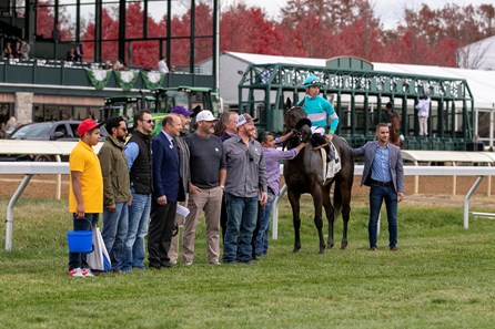 Balnikhov (IRE) - Horse Profile - BloodHorse