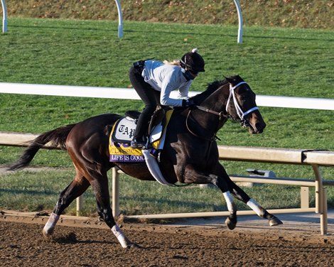 Strong Gallop Out for Life Is Good Ahead of BC Classic - BloodHorse