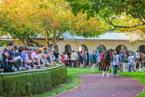 Keeneland Fall Meet Posts Record Figures - BloodHorse