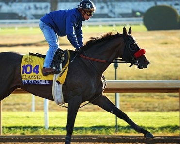 Hot Rod Charlie - Horse Profile - BloodHorse