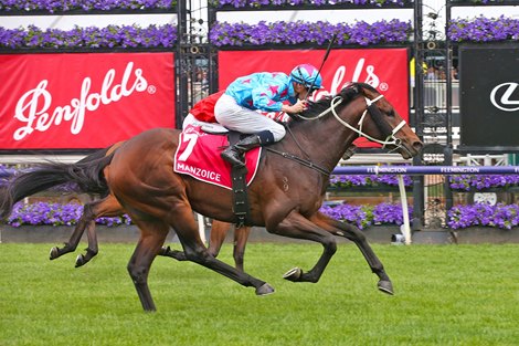 Manzoice Gives Almanzor First Group 1 in Victoria Derby - BloodHorse