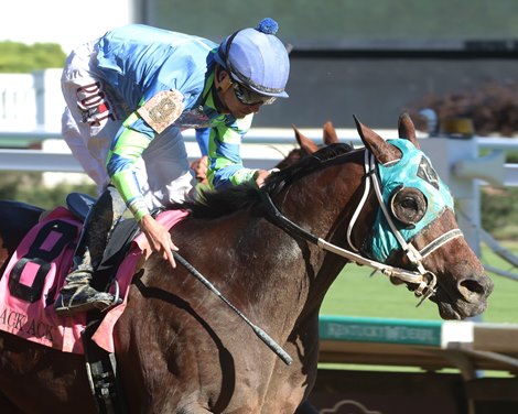 Senor Buscador Earns First Graded Stakes Win in Ack Ack - BloodHorse