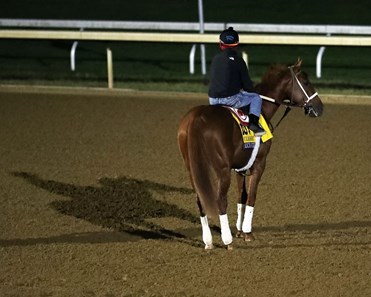 Rich Strike - Horse Profile - BloodHorse