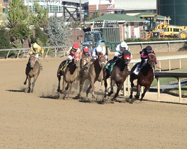 Hot Rod Charlie - Horse Profile - BloodHorse
