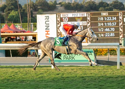 Packs a Wahlop - Horse Profile - BloodHorse