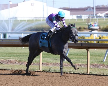 Butch's Best - Horse Profile - BloodHorse
