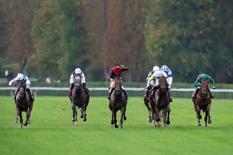 France Lowers Number of Permitted Whip Strikes to Four - BloodHorse