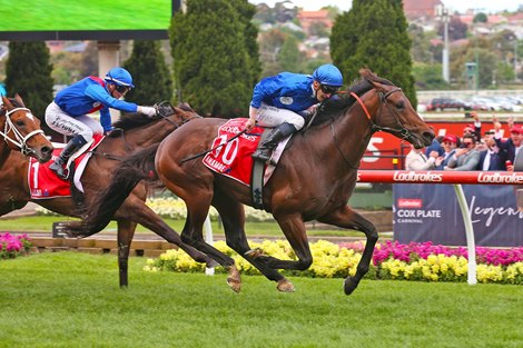 Anamoe Tallies Seventh Group 1 Win in Cox Plate - BloodHorse