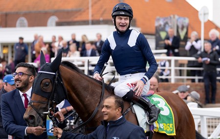 Commissioning (GB) - Horse Profile - BloodHorse