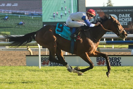 Sir for Sure - Horse Profile - BloodHorse