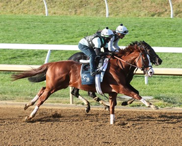 Jack Christopher - Horse Profile - BloodHorse