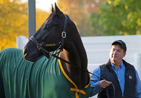 Tyler's Tribe 'Really Healthy' Ahead of Advent Stakes - BloodHorse