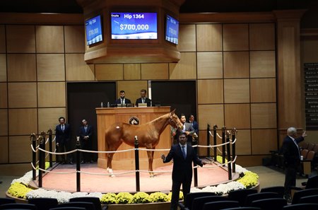 Ward Seeing Stars With $700K Gun Runner Filly at F-T - BloodHorse
