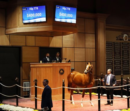 Speedway Aims for More Success with Good Magic Colt - BloodHorse