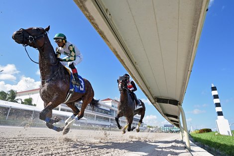 Barn 21 Sole Quarantine for EHV Positive at Gulfstream - BloodHorse