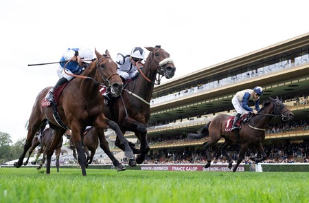 Al Qareem (IRE) - Horse Profile - BloodHorse