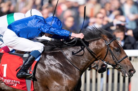 Silver Knott (GB) - Horse Profile - BloodHorse