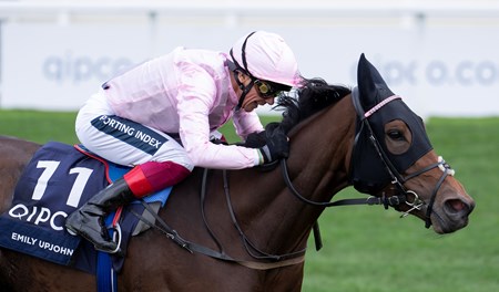 Emily Upjohn (GB) - Horse Profile - BloodHorse