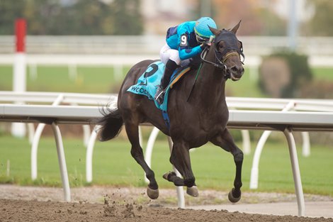 Jumpin Junie Wins Woodbine's Princess Elizabeth Stakes - BloodHorse