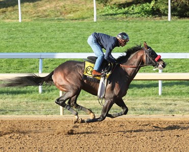 Hot Rod Charlie - Horse Profile - BloodHorse