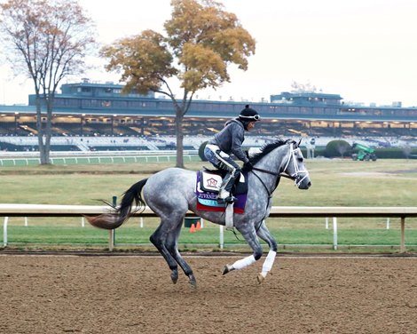 Packs a Wahlop Enters BC Juvenile Turf on Grassy Roll - BloodHorse