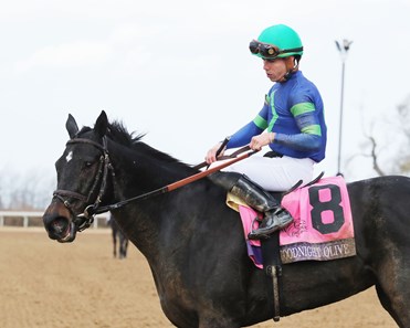 Goodnight Olive - Horse Profile - BloodHorse