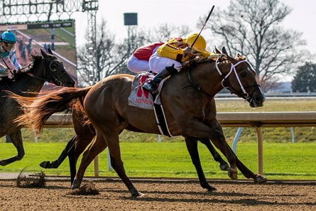 Curlin - Horse Profile - BloodHorse
