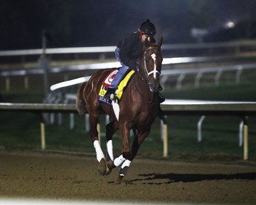 Rich Strike - Horse Profile - BloodHorse