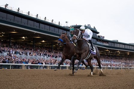 Flightline - Slideshow - BloodHorse