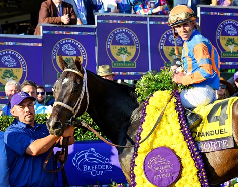 Forte's Excellent 2-Year-Old Season Rewarded - BloodHorse