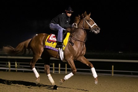 Rich Strike - Horse Profile - BloodHorse