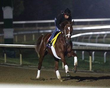 Rich Strike - Horse Profile - BloodHorse