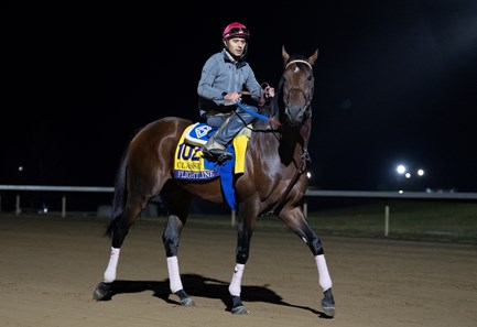 Flightline - Slideshow - BloodHorse