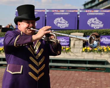 Bugler - Horse Profile - BloodHorse