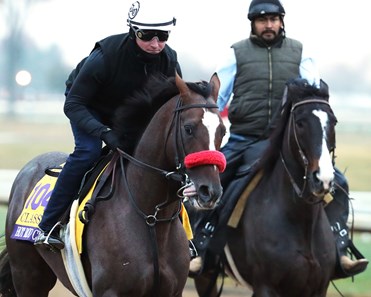 Hot Rod Charlie - Horse Profile - BloodHorse