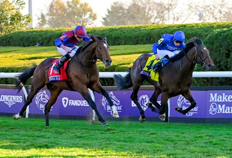 Victoria Road Nips Silver Knott in BC Juvenile Turf - BloodHorse