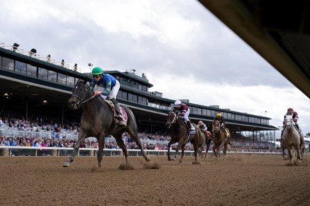 Goodnight Olive - Horse Profile - BloodHorse