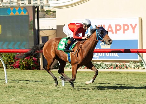 Bellstreet Bridie Wins Red Carpet in U.S. Debut - BloodHorse