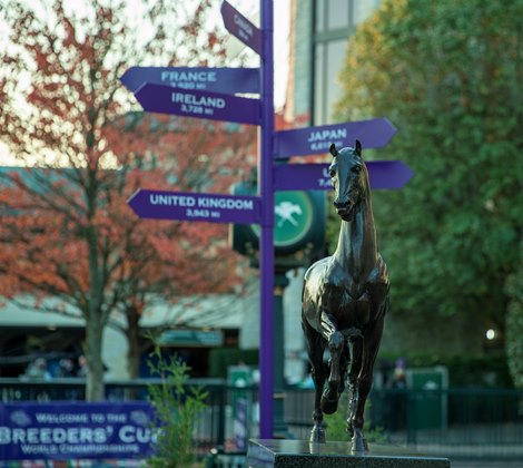 This Week's Horse Racing Stakes and Broadcast Schedule: TV, Streaming ...