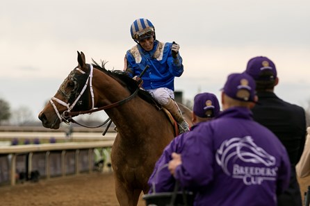 Curlin - Horse Profile - BloodHorse