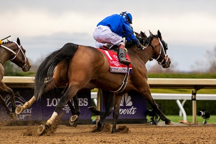 Curlin - Horse Profile - BloodHorse