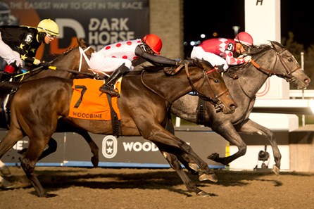 Renegade Rebel - Horse Profile - BloodHorse