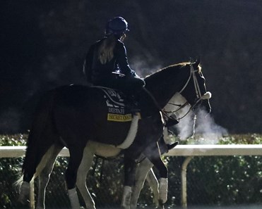 Secret Oath - Horse Profile - BloodHorse