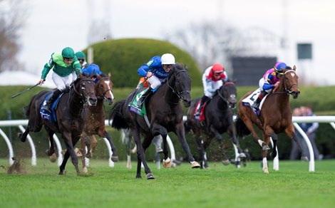 Rebel's Romance Takes BC Turf With Record-Setting Run - BloodHorse