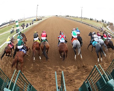 Goodnight Olive - Horse Profile - BloodHorse